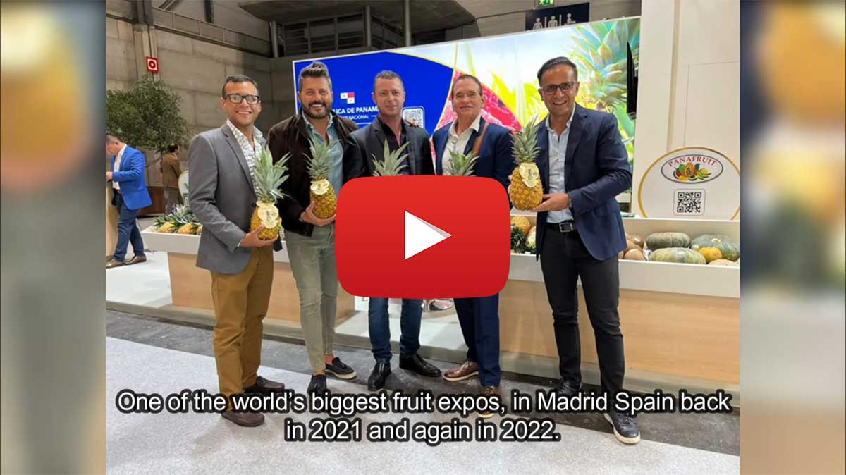 How We Make Double-Digit Returns for our 🍍 Farm Investors